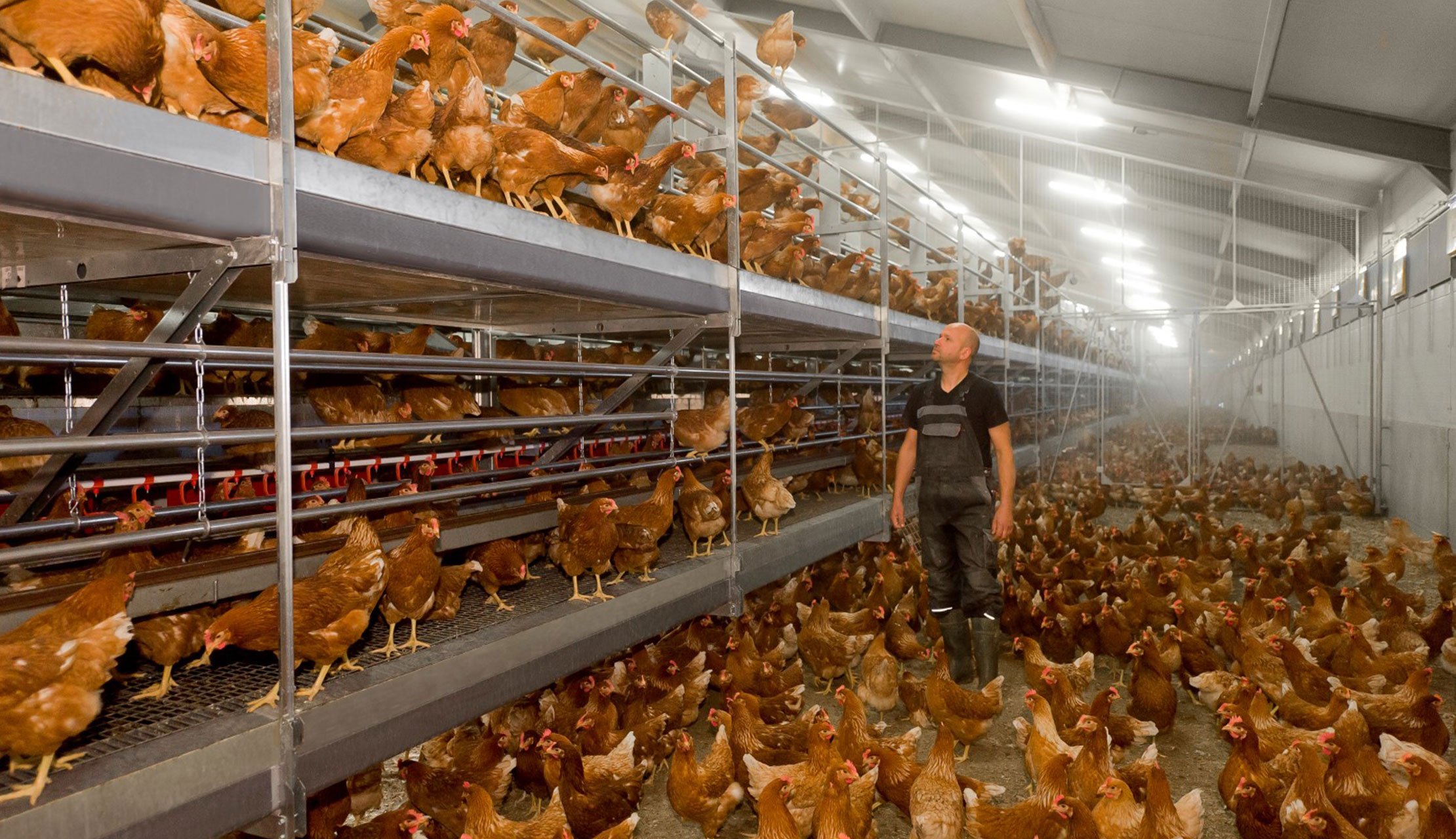 RED-L - Vencomatic Group